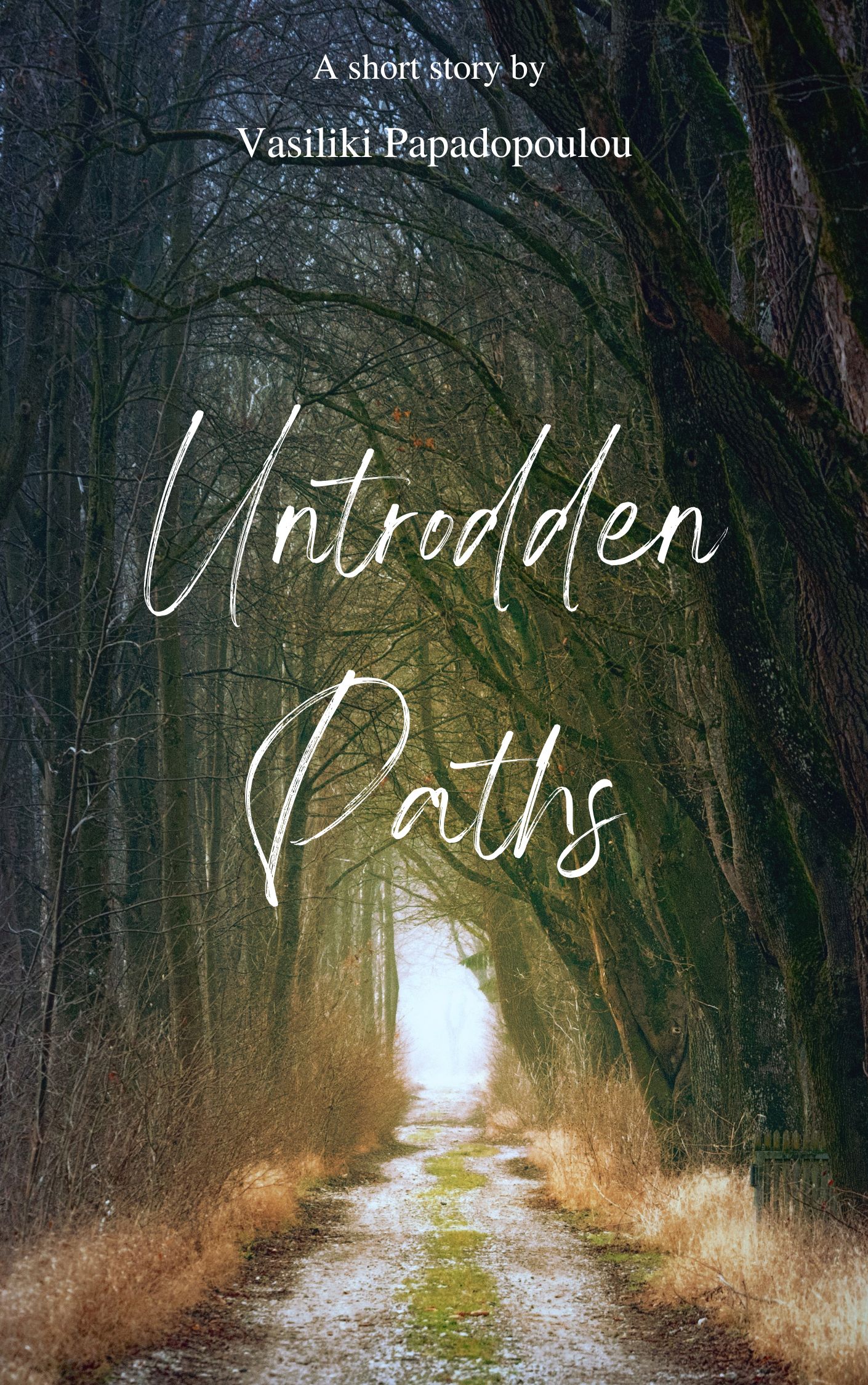 Untrodden Paths – Welcome to Vasos Storyland